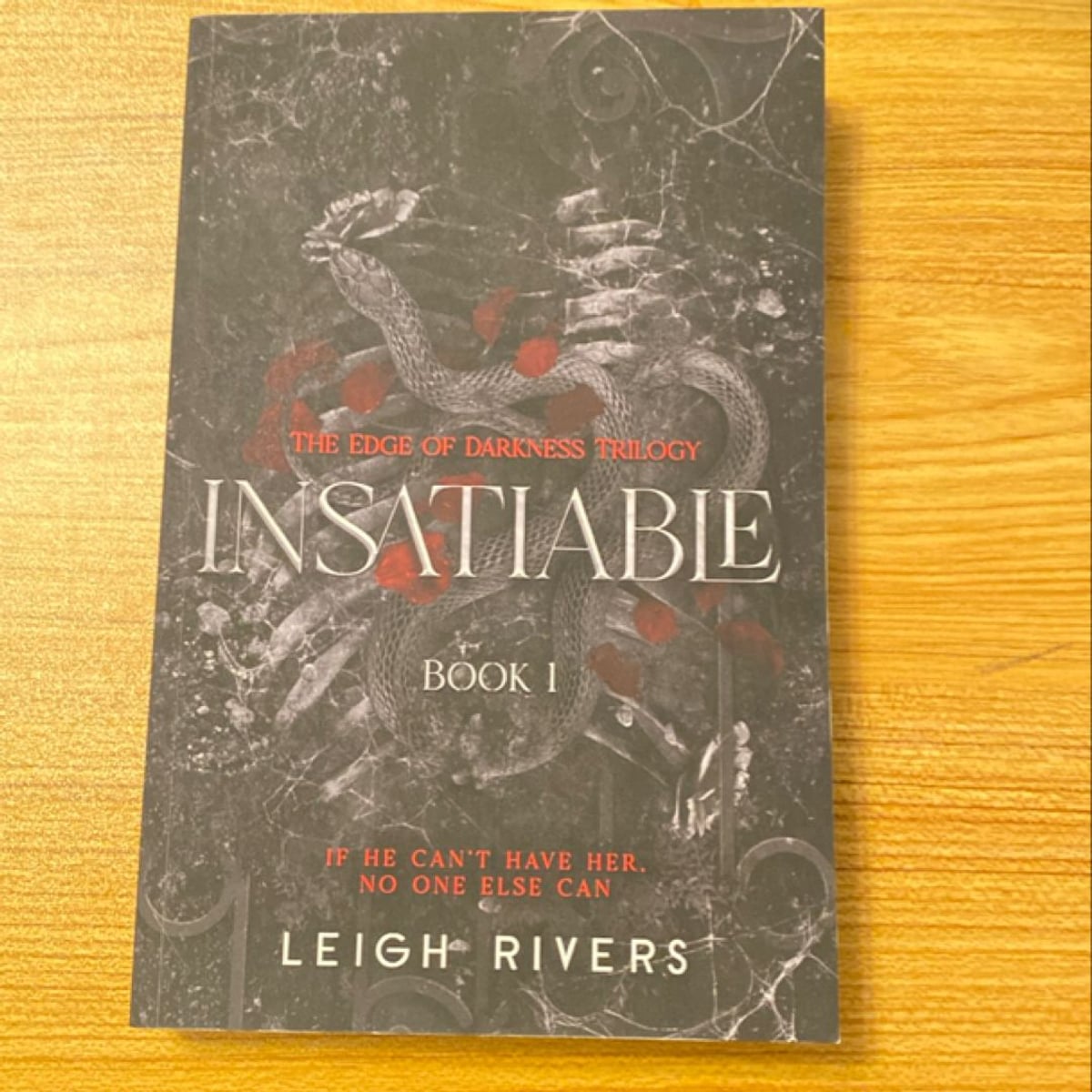 Insatiable (the Edge of Darkness by Leigh Rivers