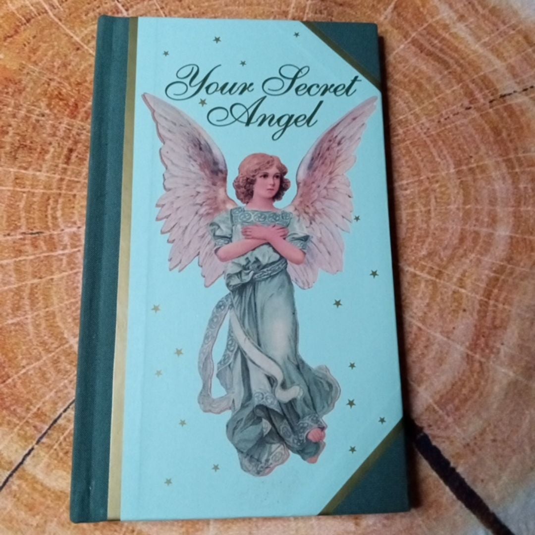 Your Secret Angel by Suzanne Siegel Zenkel, Hardcover | Pangobooks