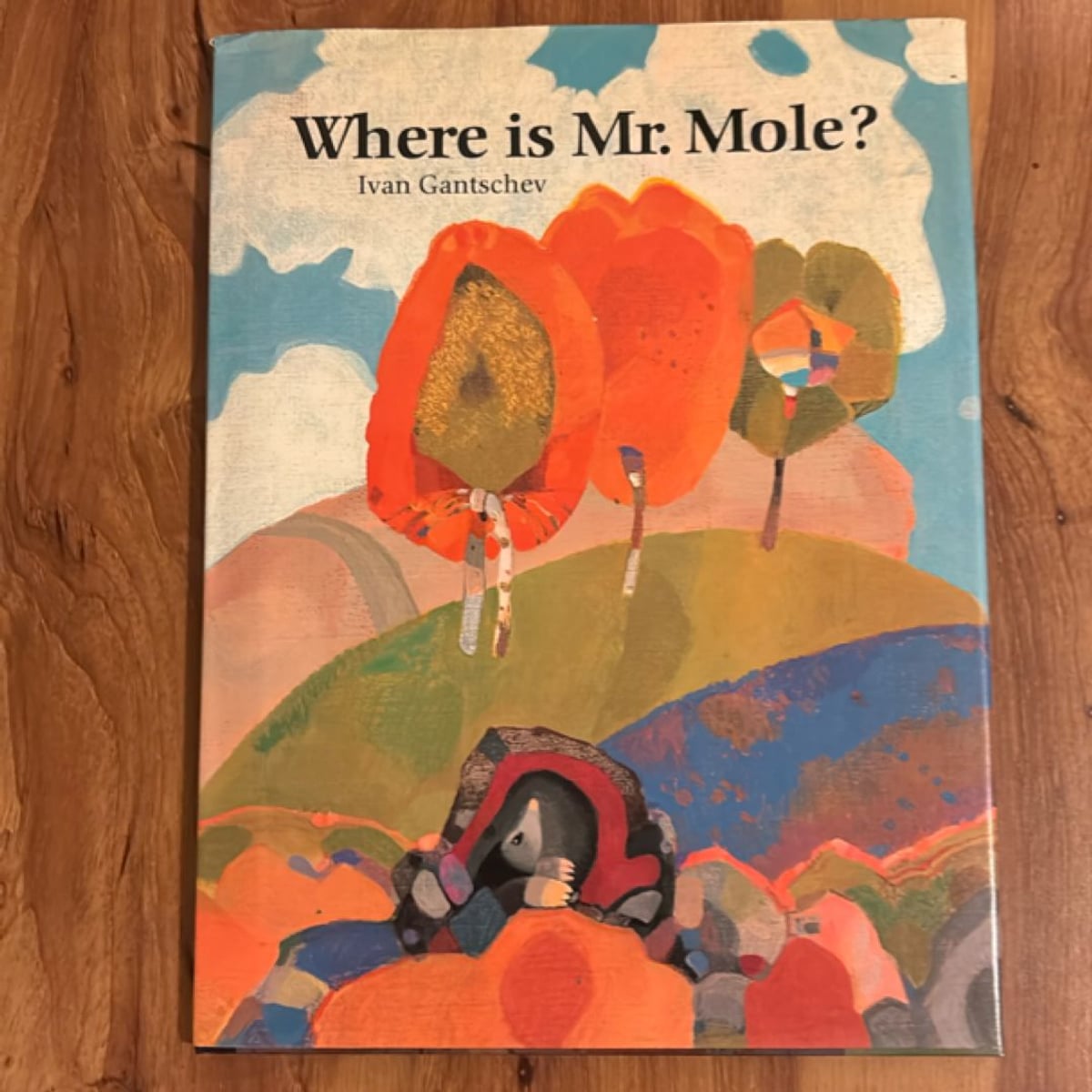 Where Is Mr. Mole? by Andrew Clements
