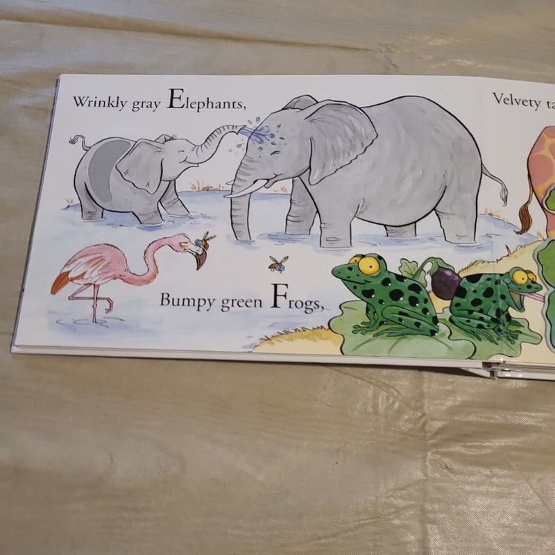 Alphabet by Matthew Van Fleet