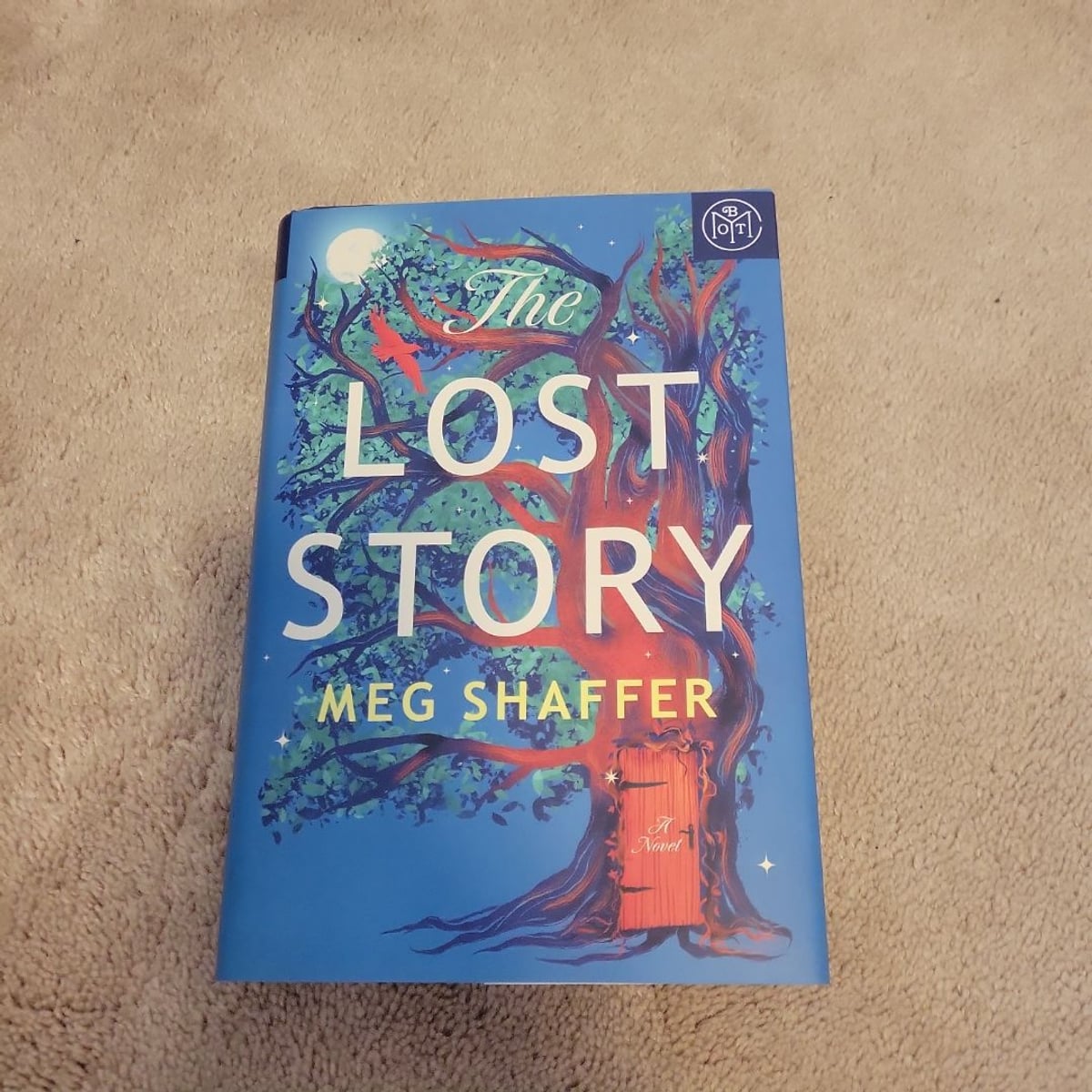 The lost story by Meg Shaffer, Hardcover | Pangobooks
