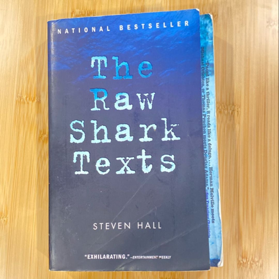 The Raw Shark Texts by Steven Hall