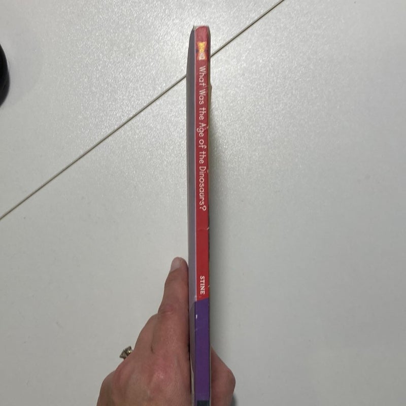 What Was the Age of the Dinosaurs? by Megan Stine, Paperback | Pangobooks