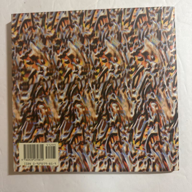 Stereogram by Christopher W. Tyler, Howard Rheingold