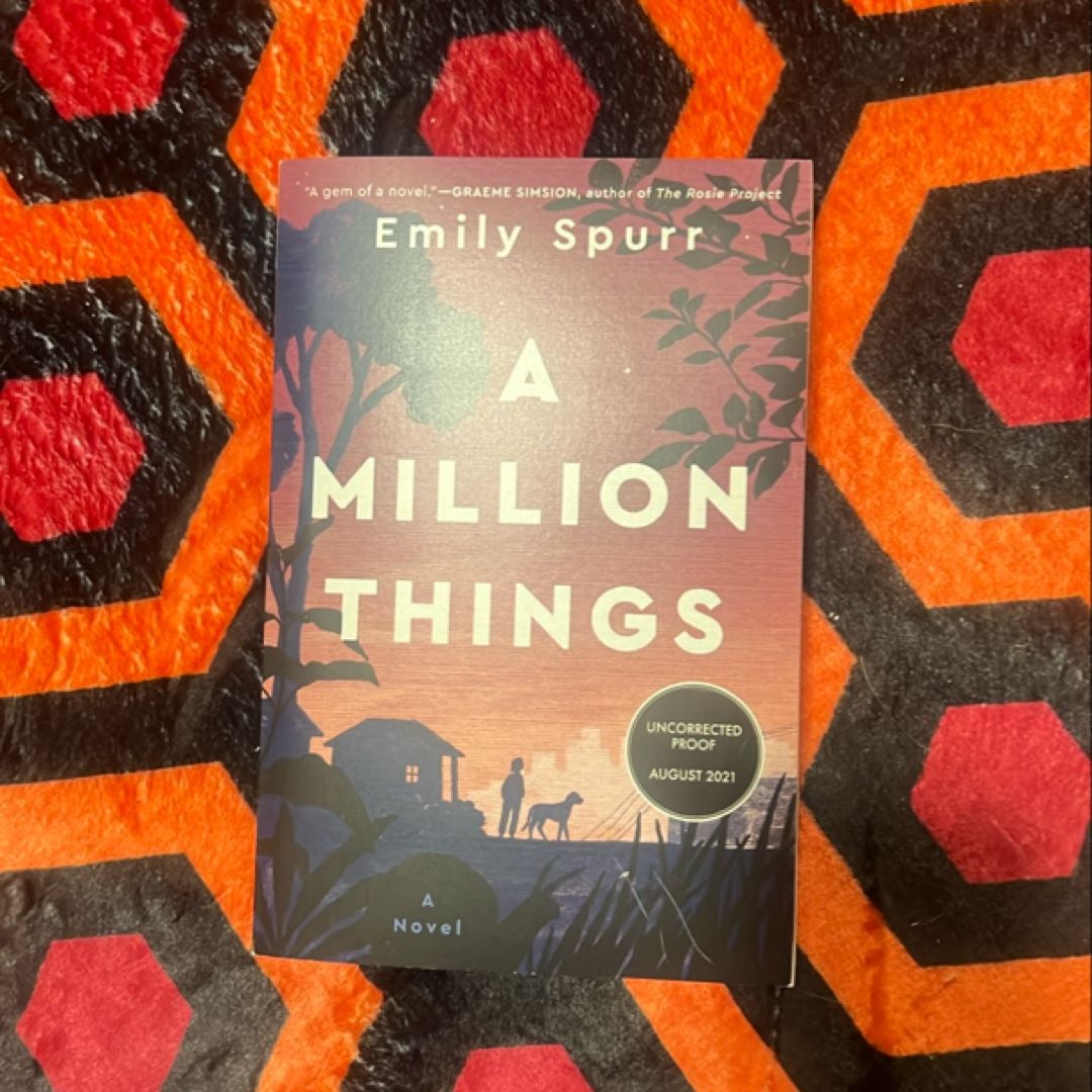 A Million Things by Emily Spurr, Paperback | Pangobooks