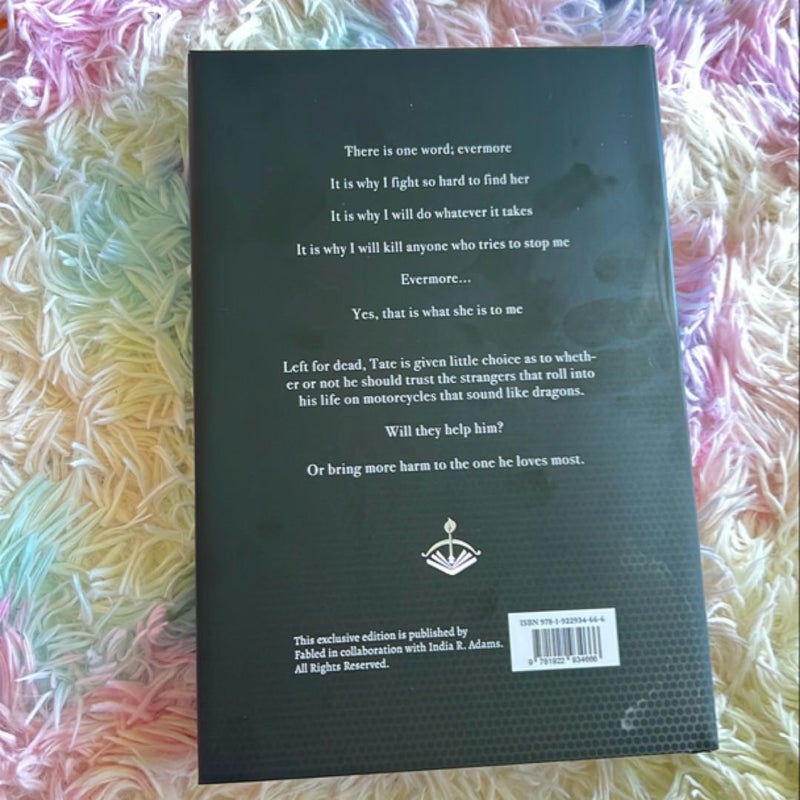 Hostile Saint by India R. Adams, Hardcover | Pangobooks