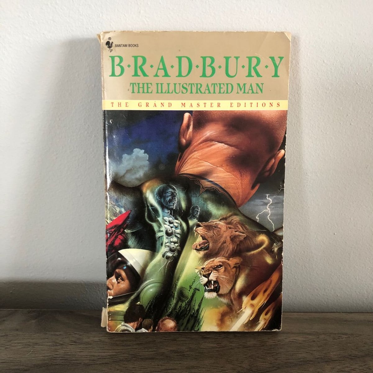 The Illustrated Man by Ray Bradbury