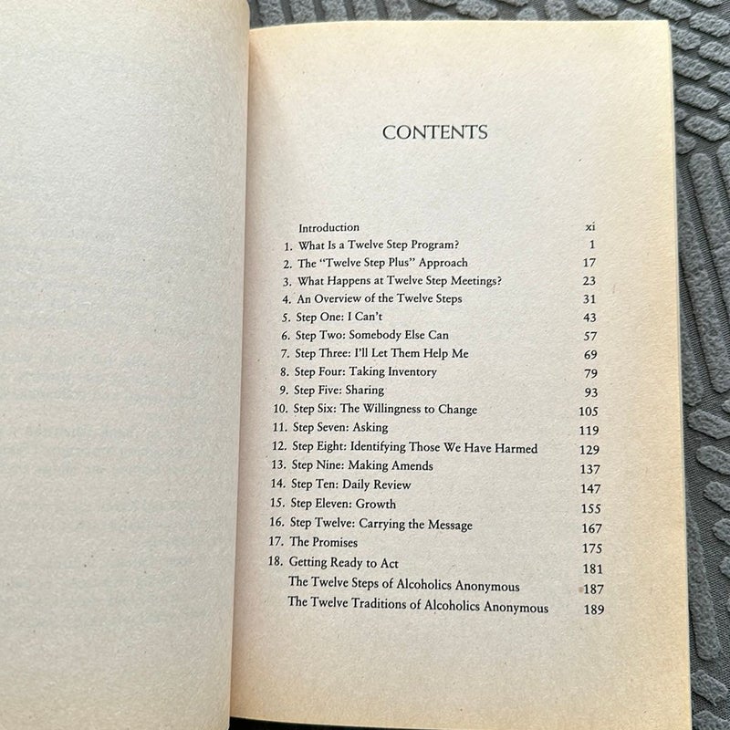 Understanding the Twelve Steps by Terence T. Gorski, Paperback | Pangobooks