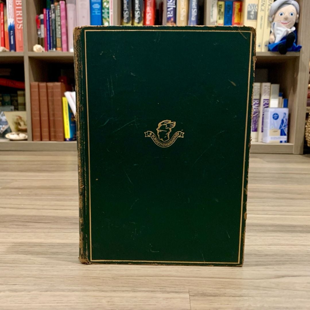 Viking Ships by A. W. Brogger, Hardcover | Pangobooks