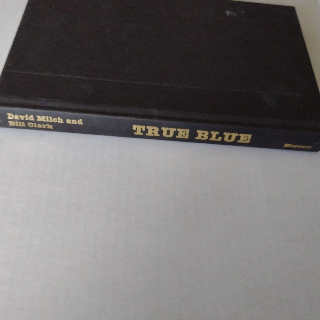 True Blue by David Milch, Bill Clark