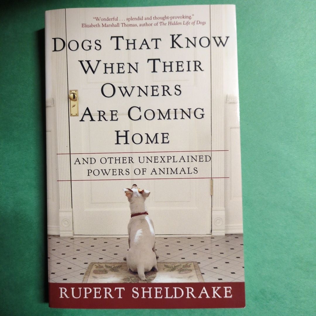 Dogs That Know When Their Owners Are Coming Home by Rupert Sheldrake