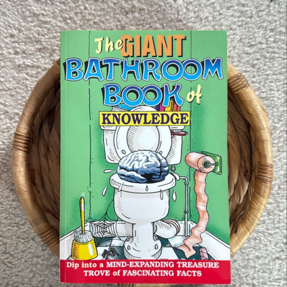 The Giant Bathroom Book of Knowledge by Magpie