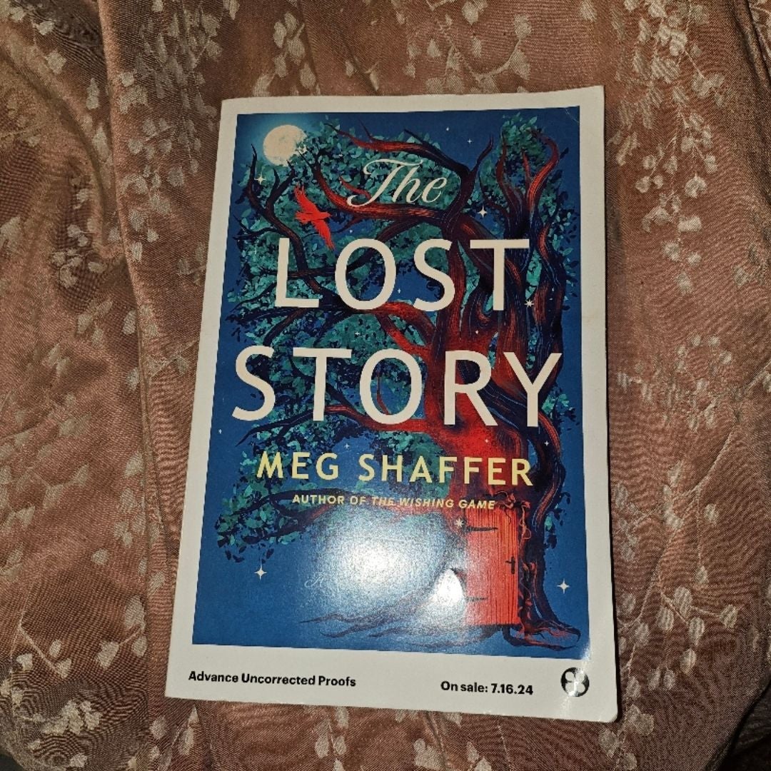 The Lost Story by Meg Shaffer
