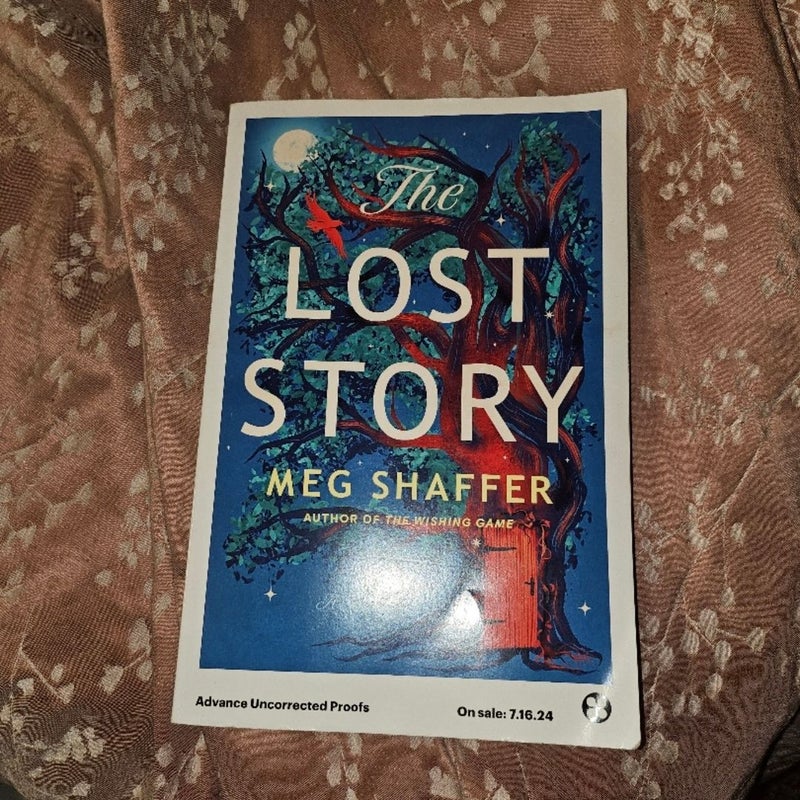 The Lost Story by Meg Shaffer
