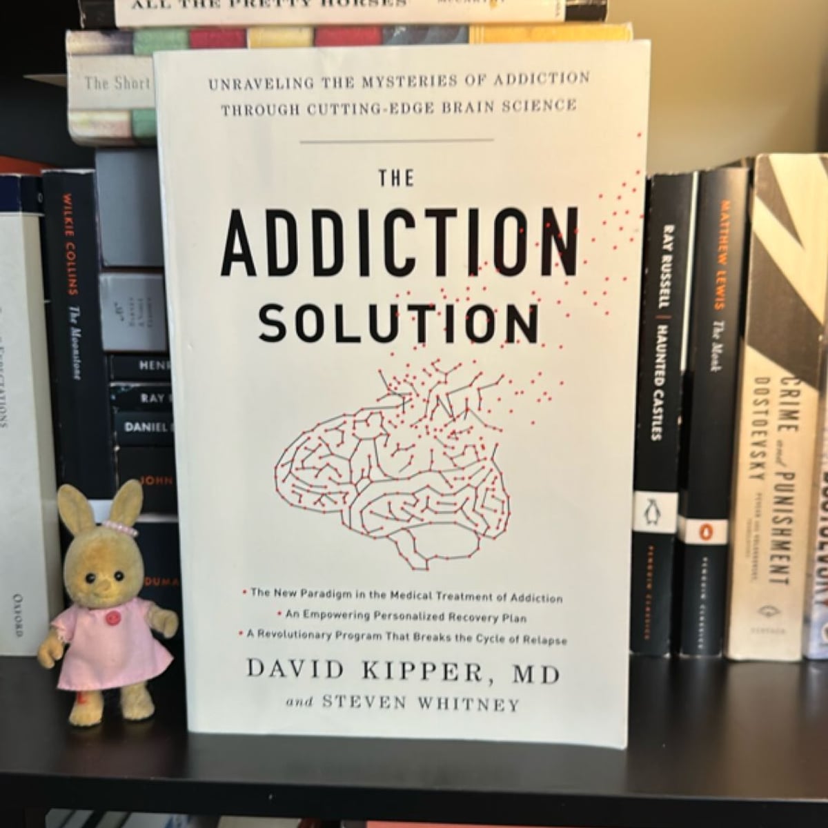 The Addiction Solution by David Kipper, Steven Whitney