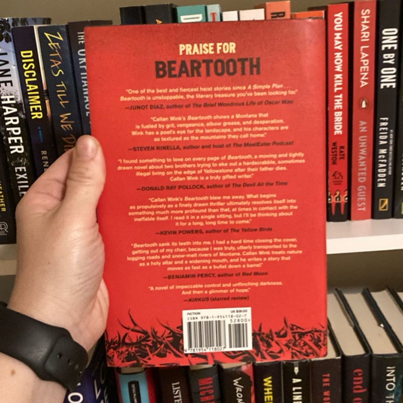 Beartooth by Callan Wink
