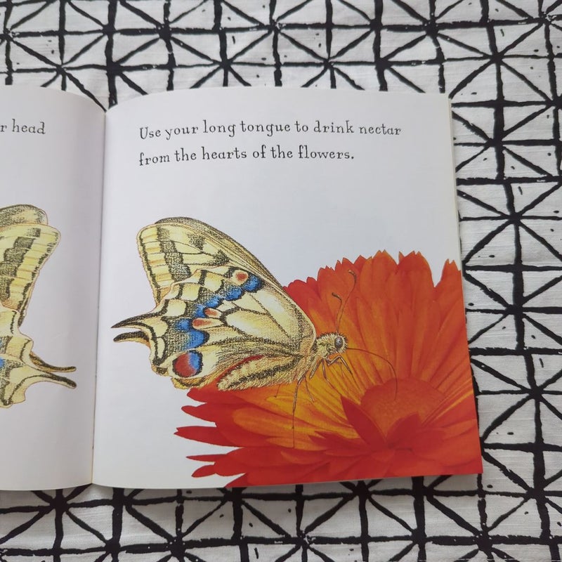 Are You a Butterfly? by Judy Allen, Paperback | Pangobooks