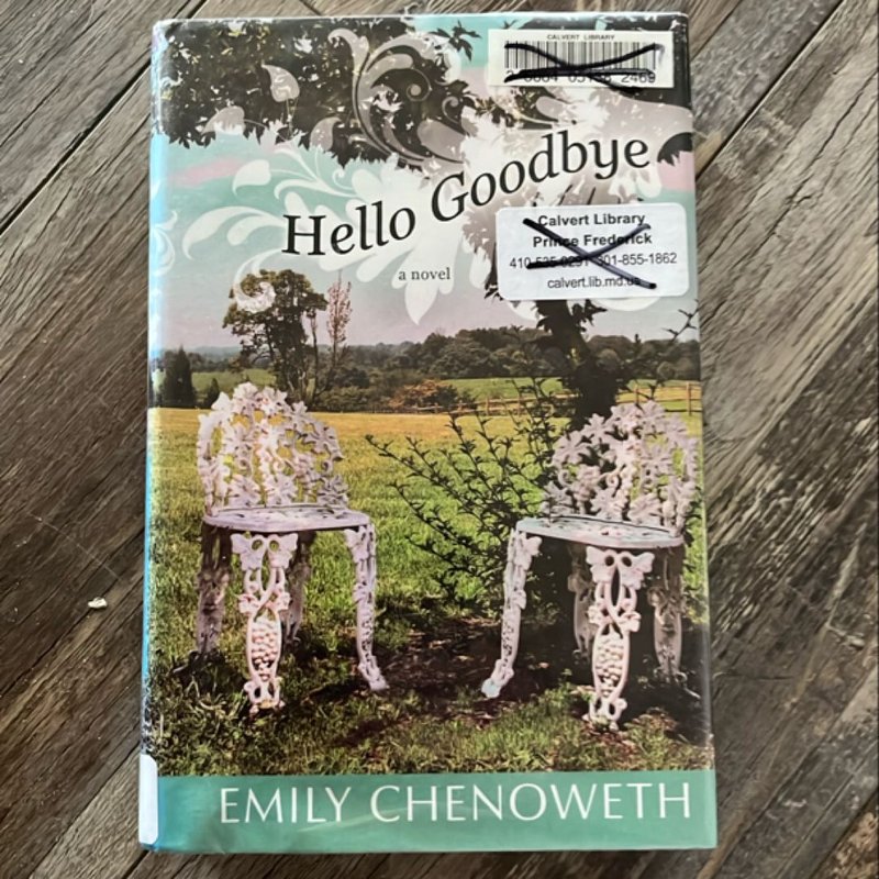 Hello Goodbye by Emily Chenoweth, Hardcover | Pangobooks