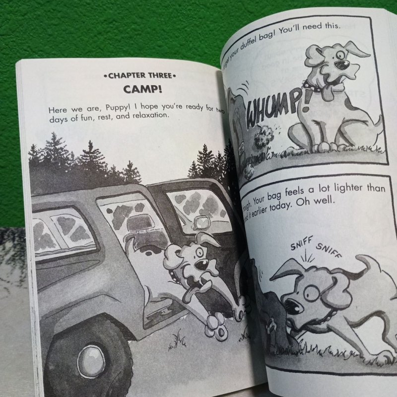 Bad Kitty Camp Daze by Nick Bruel