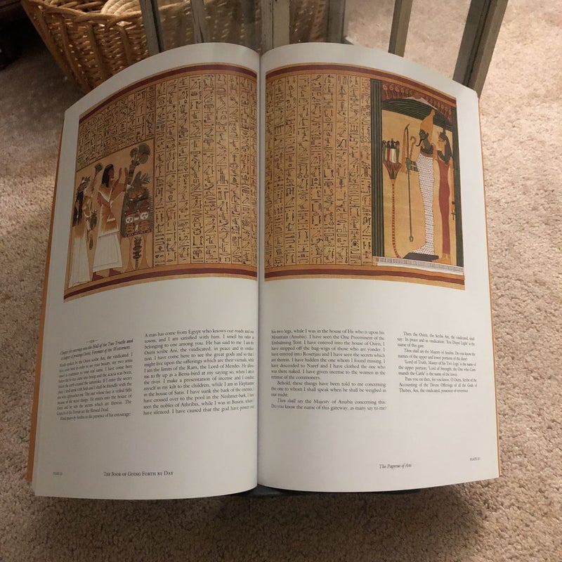 The Egyptian Book of the Dead by Raymond Faulkner, Hardcover | Pangobooks