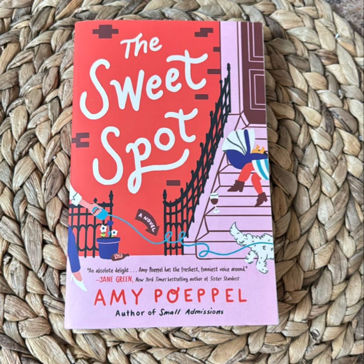 The Sweet Spot by Amy Poeppel, Paperback | Pangobooks