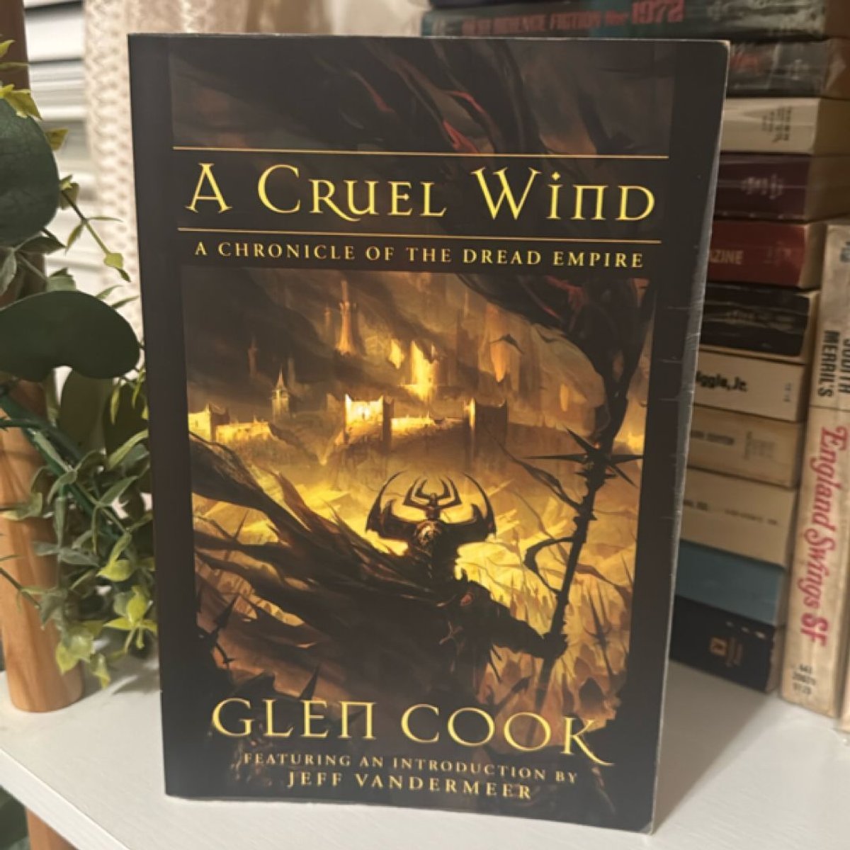 A Cruel Wind by Glen Cook