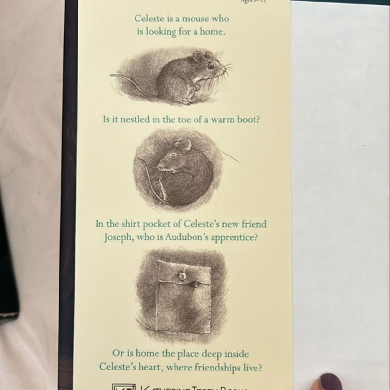 A Nest for Celeste by Henry Cole