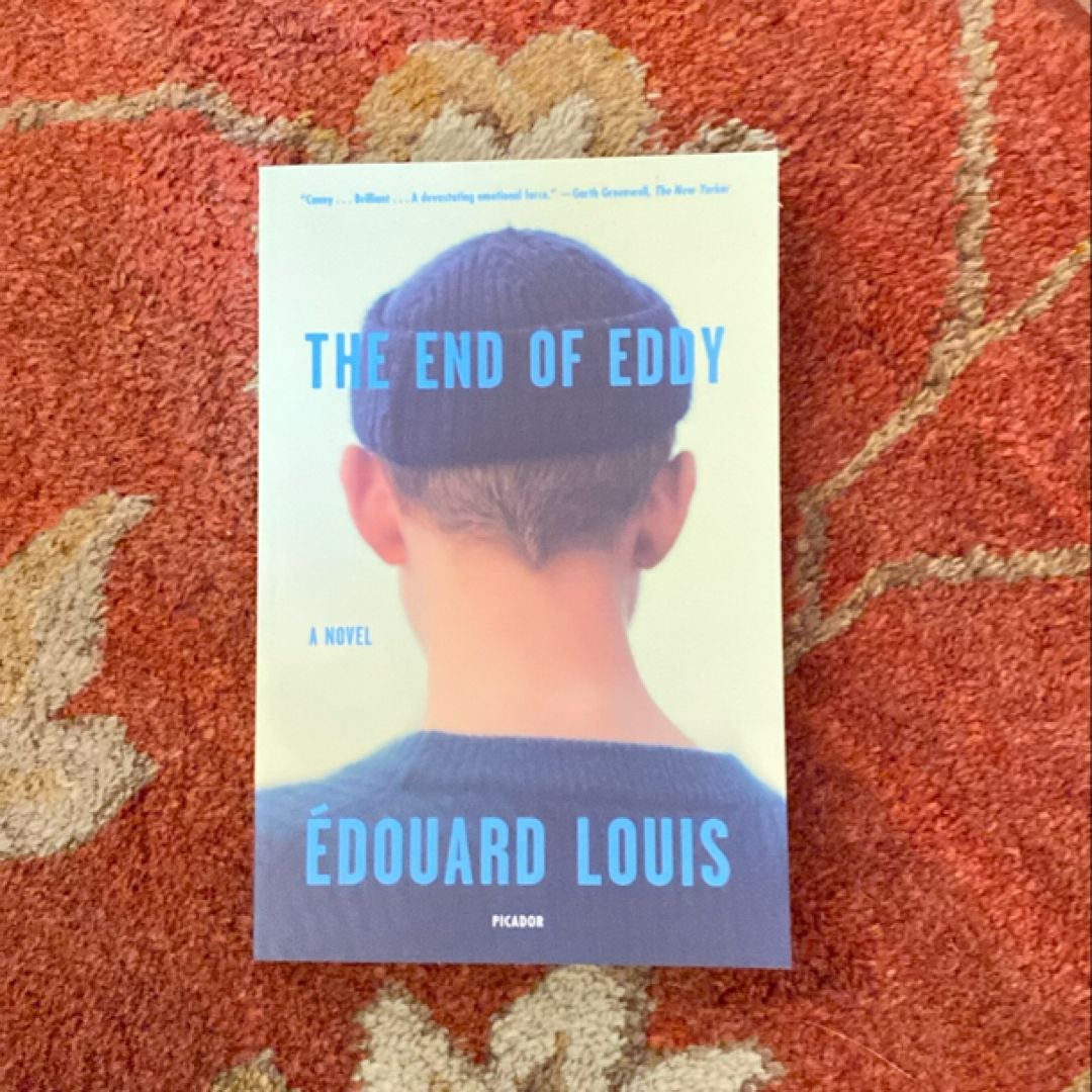 The End of Eddy by Édouard Louis, Michael Lucey