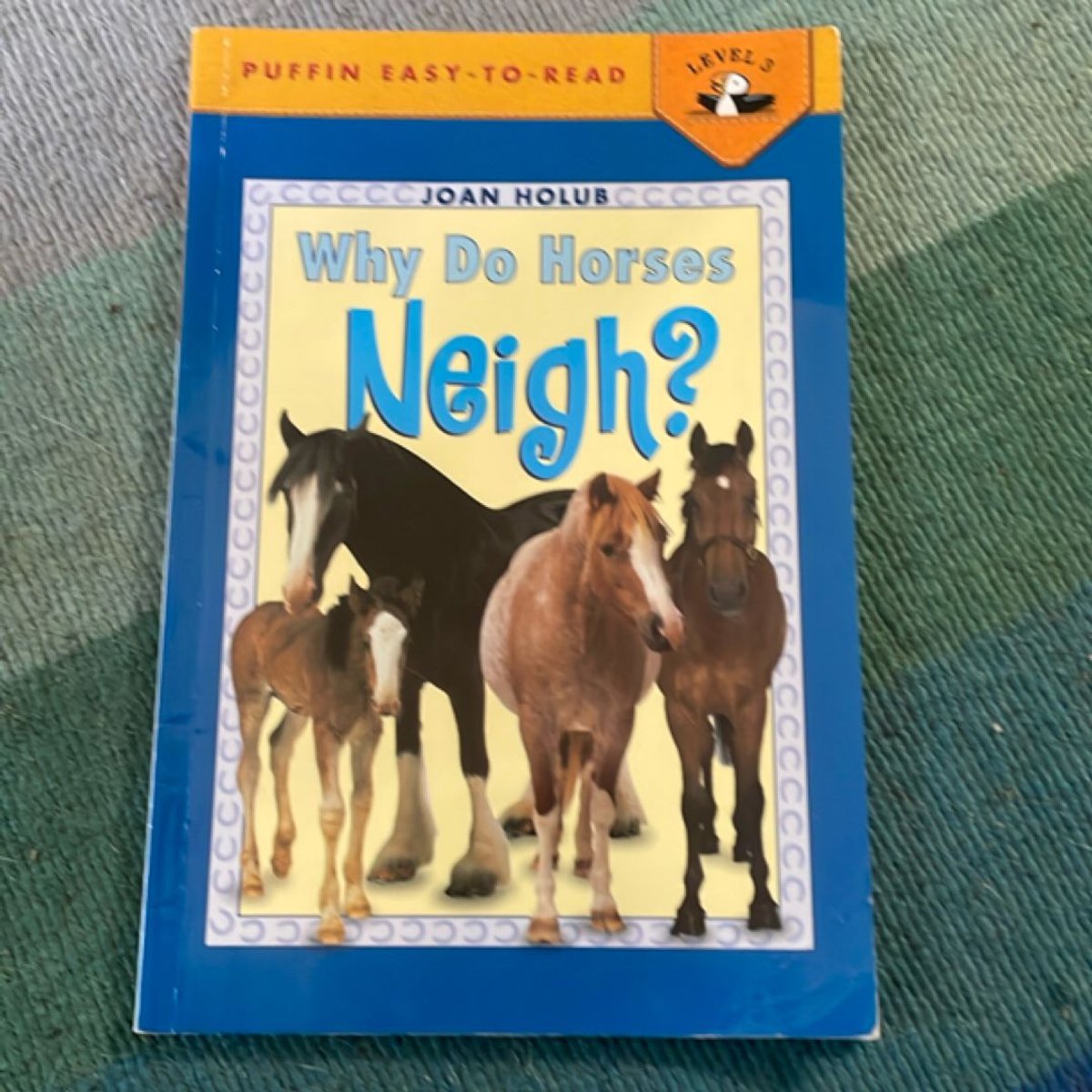Why Do Horses Neigh? by Joan Holub