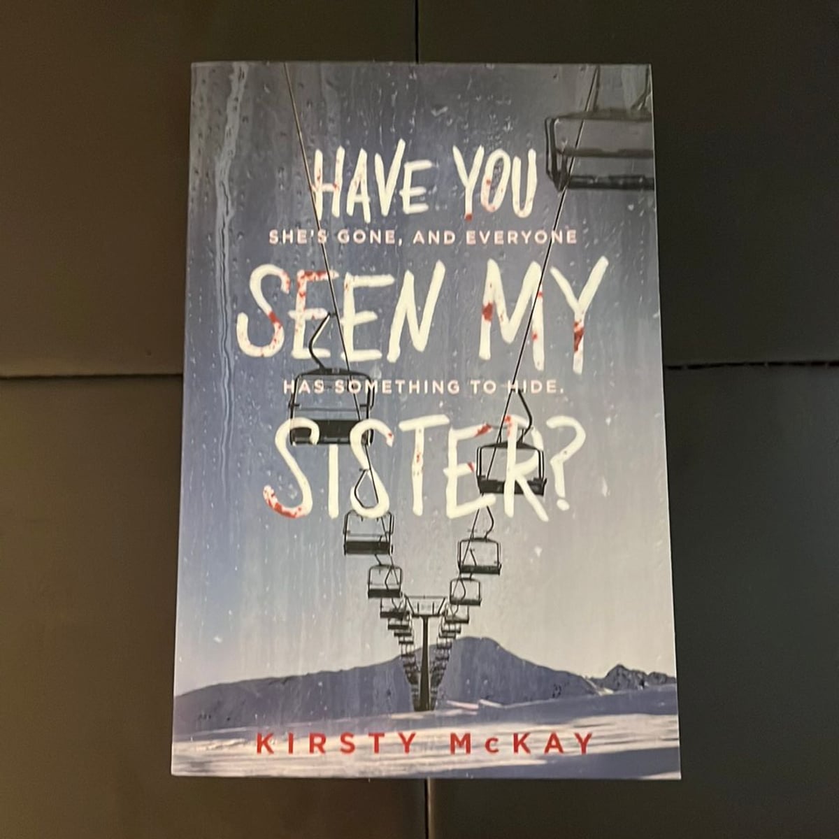 Have You Seen My Sister? by Kirsty McKay