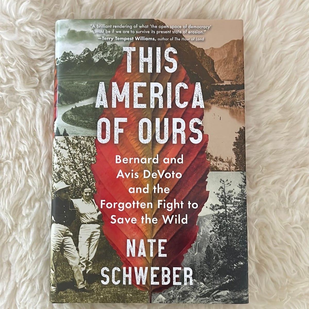 This America of Ours by Nate Schweber, Hardcover | Pangobooks