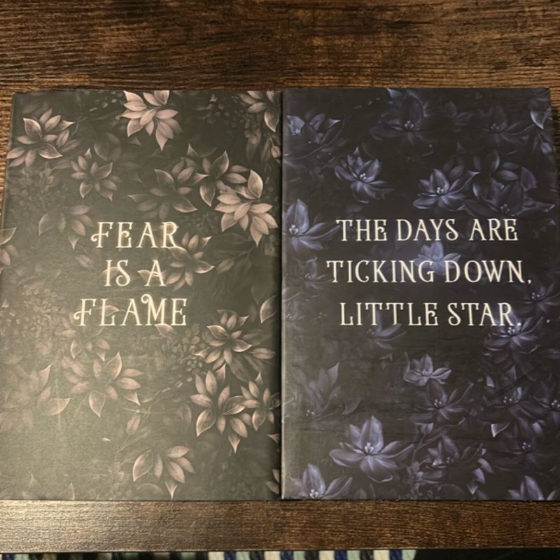 Bookish box editions of Untainted and Untamed by Lilian T. James ...