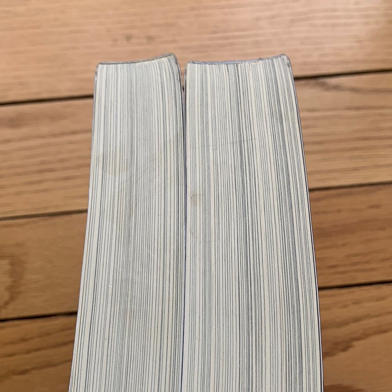 The Vincula Realm Series: The Umbra King and Aeternum by Jamie ...