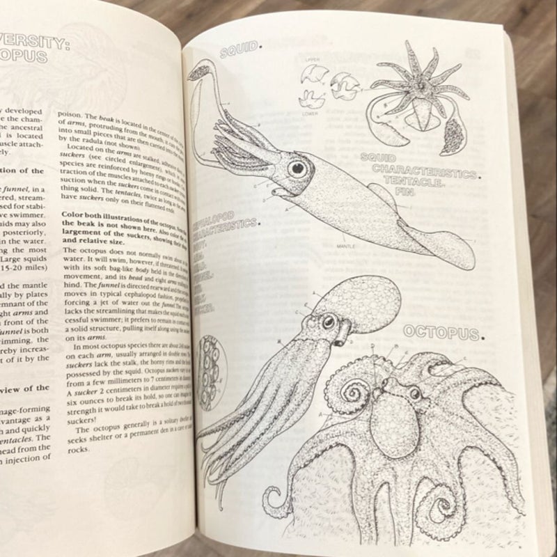 Marine Biology Coloring Book by Thomas M. Niesen