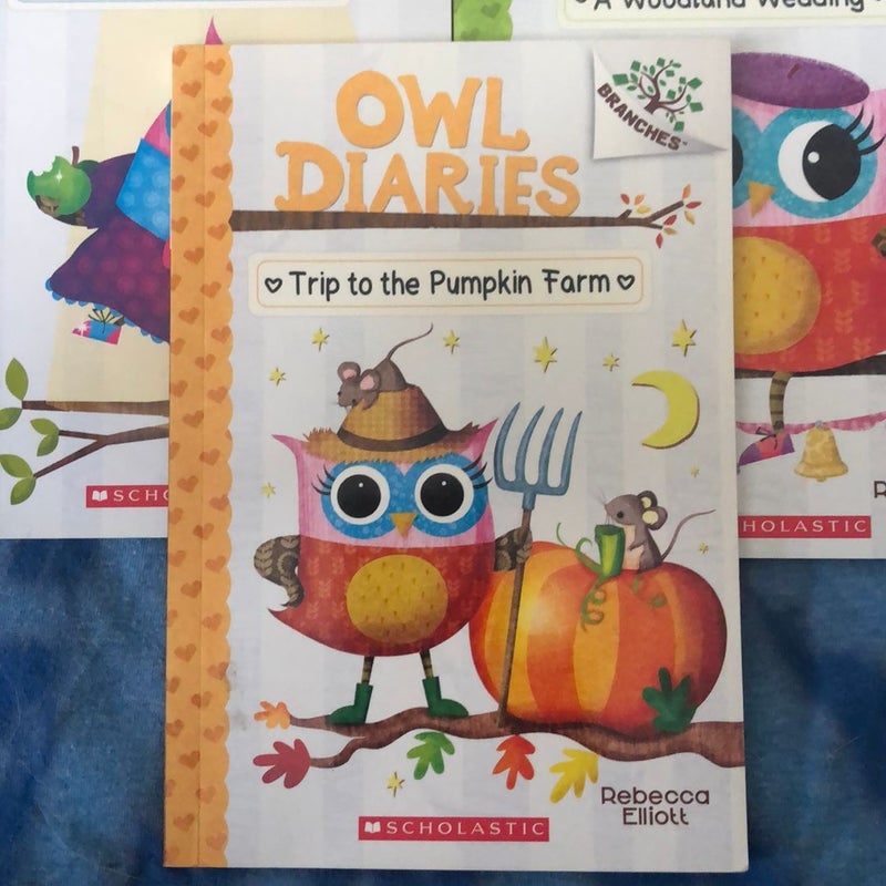 Owl Diaries - 7 book set by Rebecca Elliott, Paperback | Pangobooks