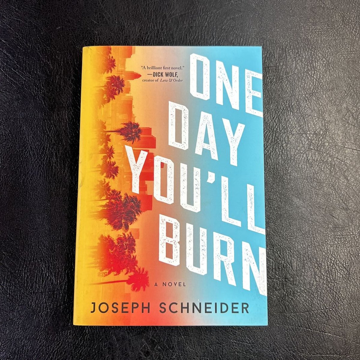 One Day You'll Burn by Joseph Schneider