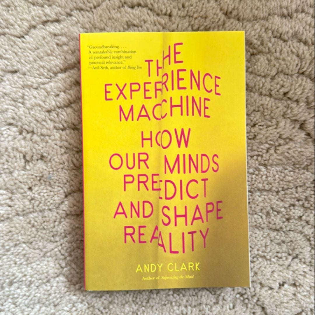 The Experience Machine by Andy Clark, Paperback | Pangobooks