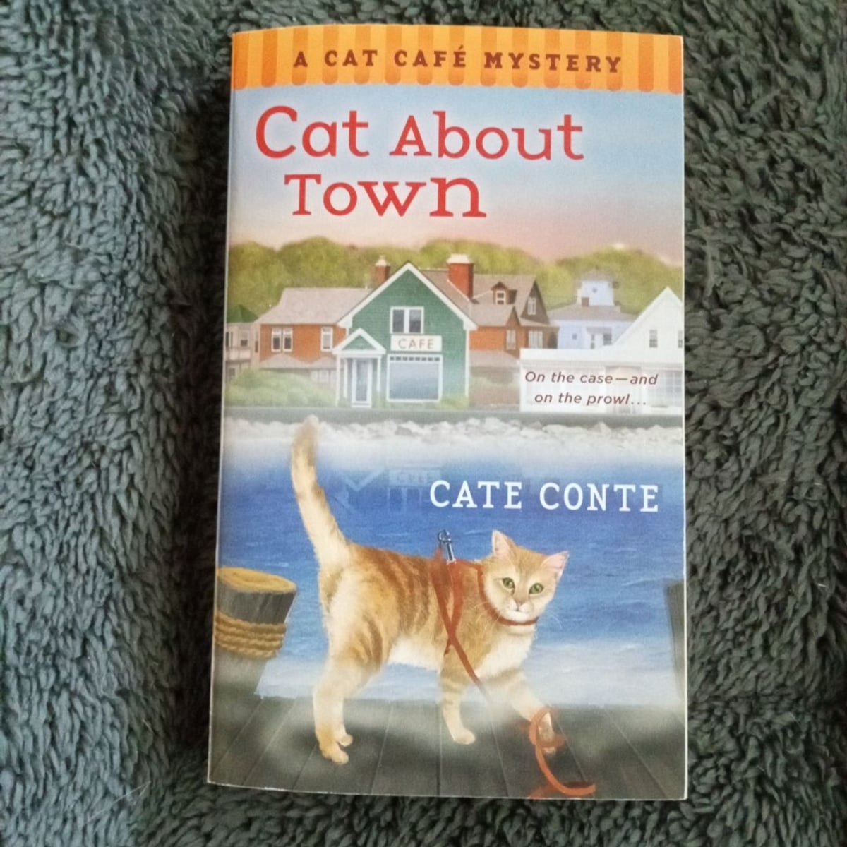 Cat about Town by Cate Conte