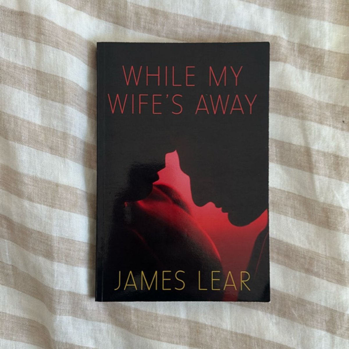 While My Wife's Away by James Lear