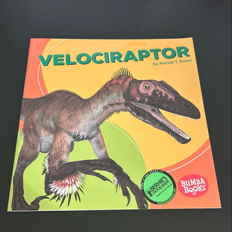 Velociraptor by Harold Rober
