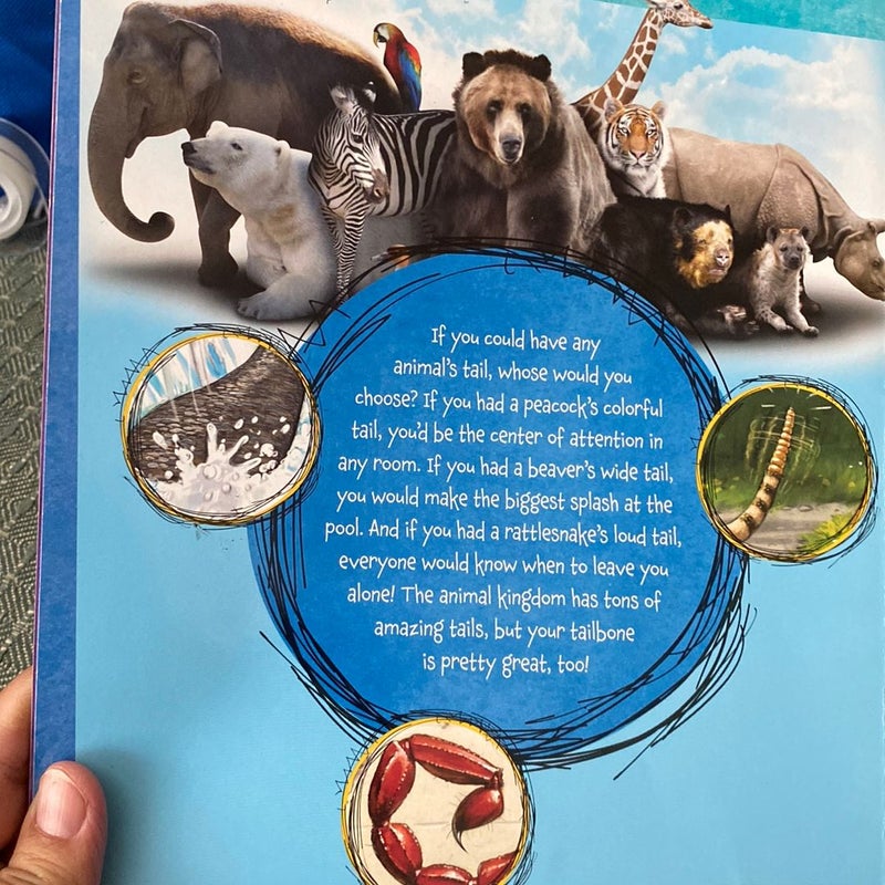 What If You Had an Animal Tail!? by Sandra Markle