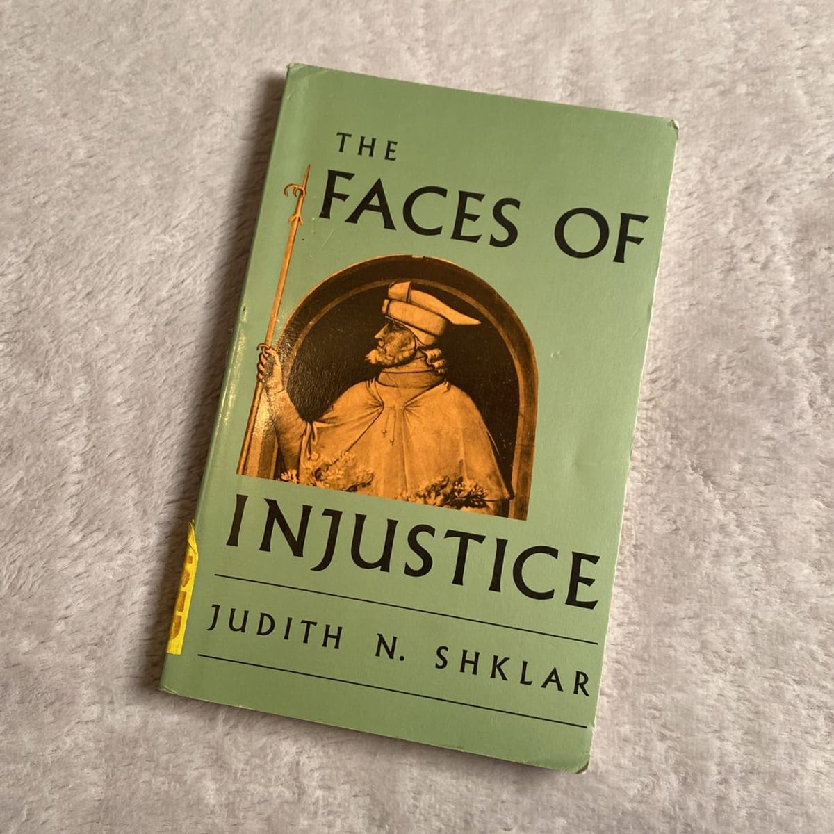 The Faces of Injustice by Judith N. Shklar, Paperback | Pangobooks