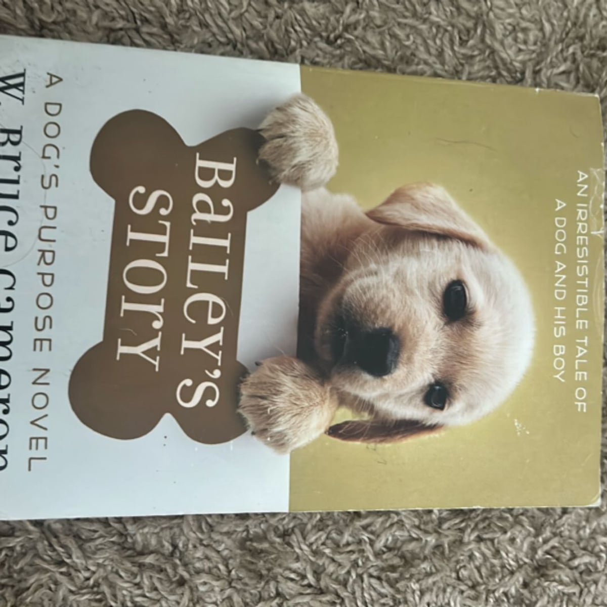Baileys story by , Paperback | Pangobooks