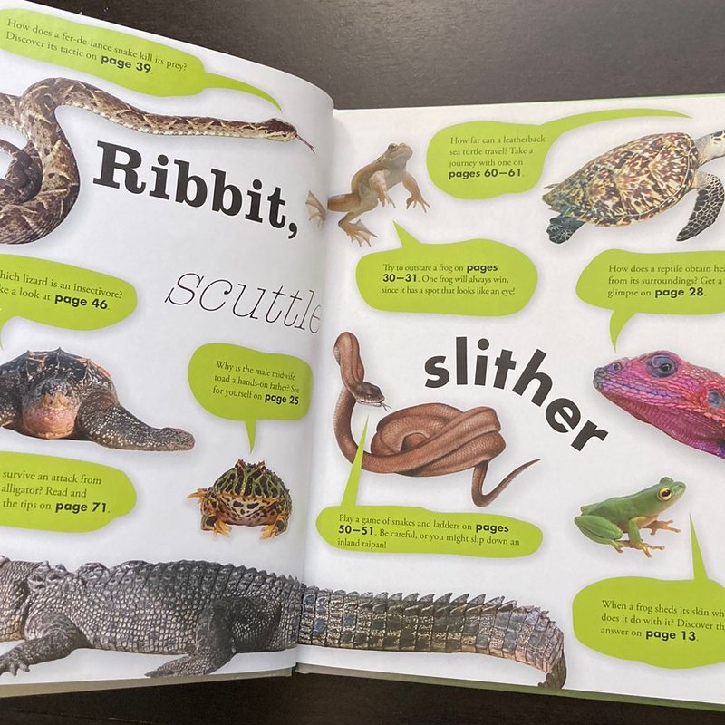 Everything You Need to Know about Frogs and Other Slippery Creatures by DK