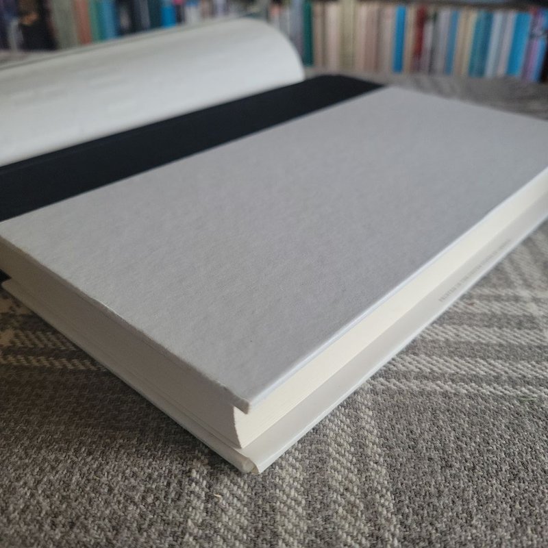 The Shallows by Nicholas Carr