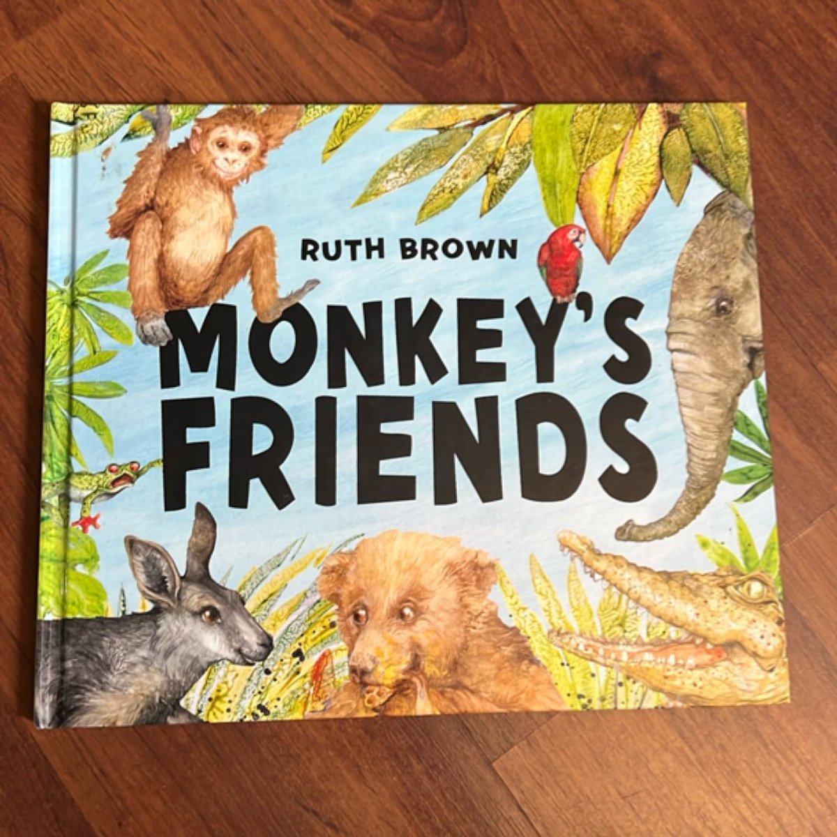 Monkey's Friends by Ruth Brown