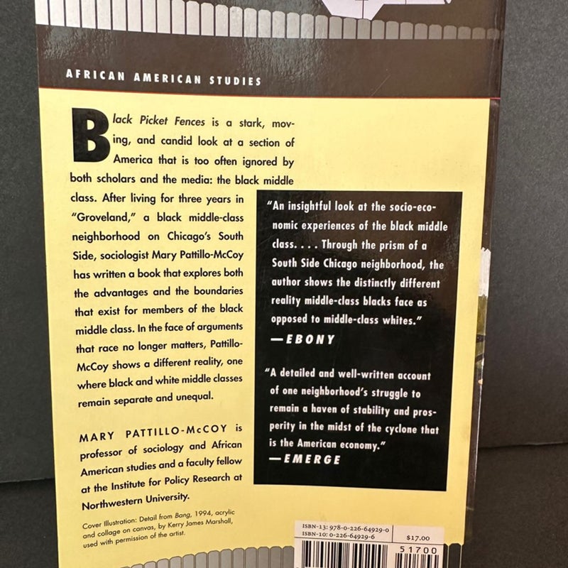 Black Picket Fences by Mary Pattillo, Annette Lareau