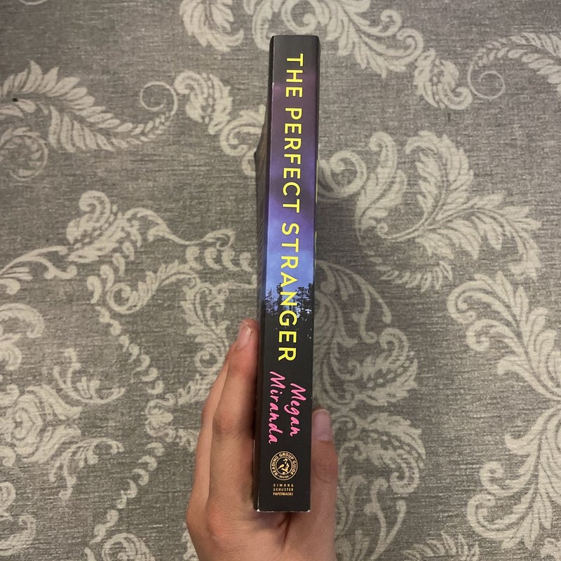 The Perfect Stranger by Megan Miranda, Paperback | Pangobooks
