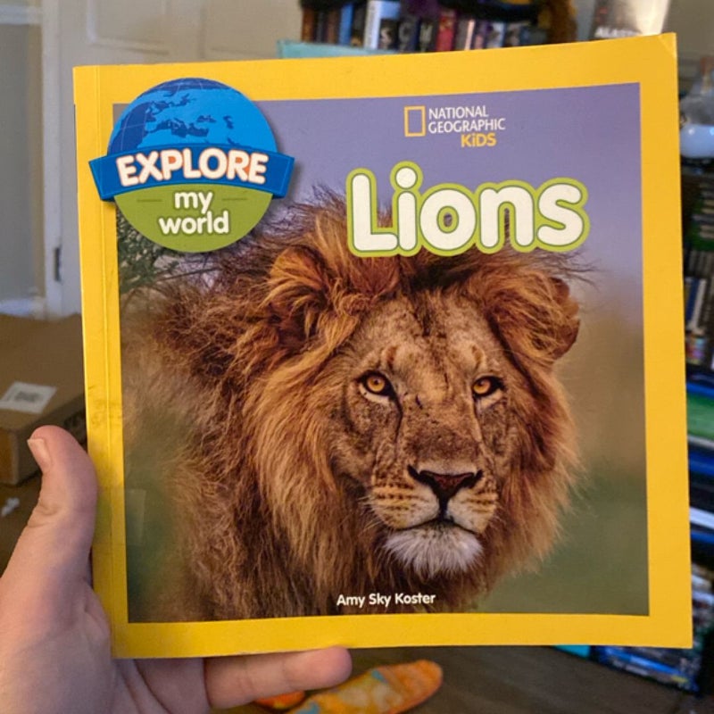 Explore My World: Lions by Amy Sky Koster