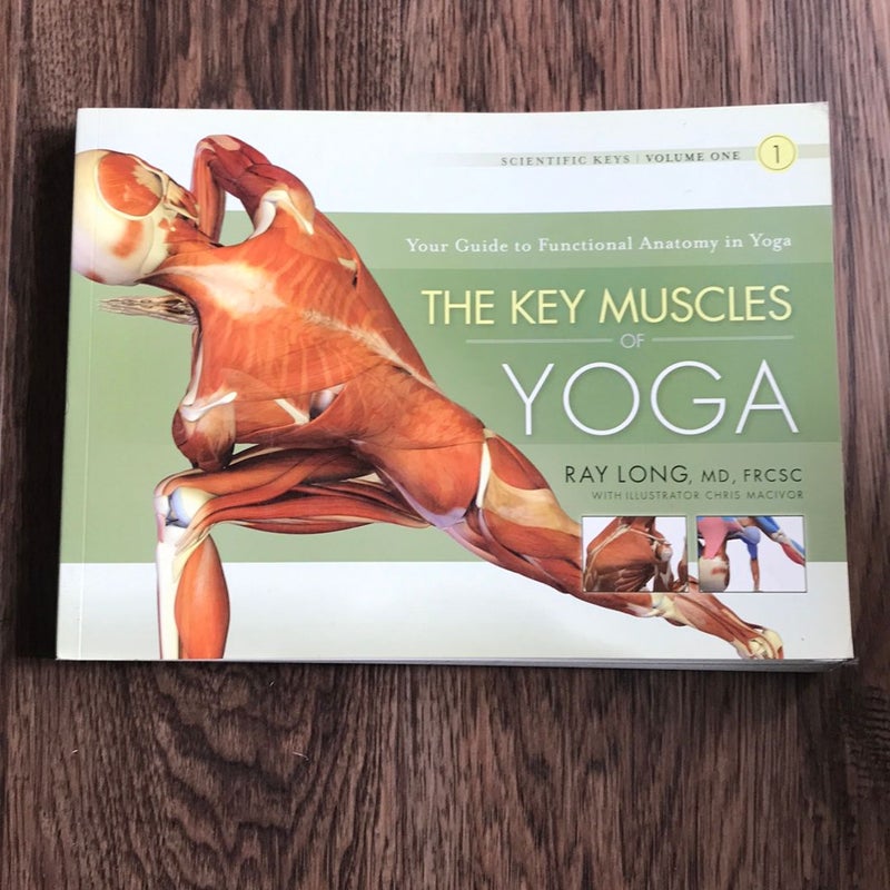 Key Muscles of Yoga by Ray Long